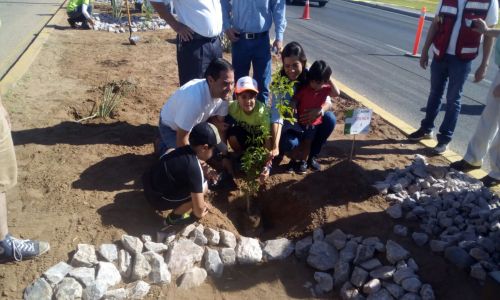 Participa Maloro Acosta en rehabilitacion del Bulevar Enrique Mazon ...