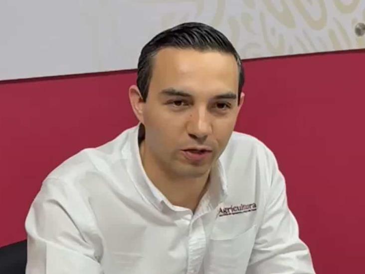 Sonora refuerza sanidad animal para recuperar exportación de ganado ...