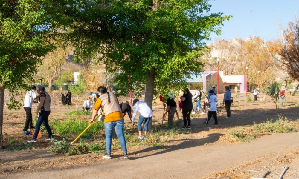 Bosque Urbano La Sauceda, ejemplo de recuperación ambiental y ...